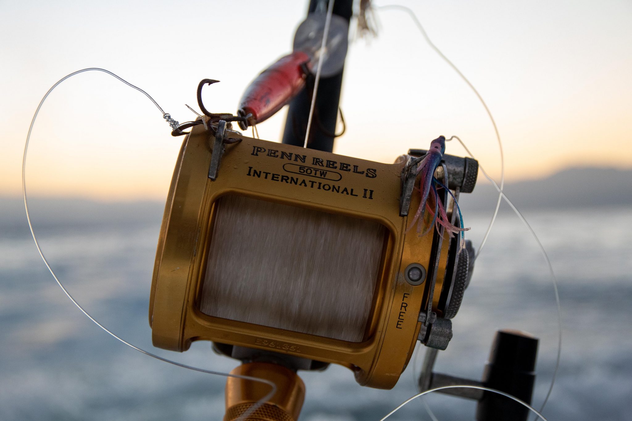 La Técnica de Pesca Curricán (Trolling) - Mike's Fishing & Tours