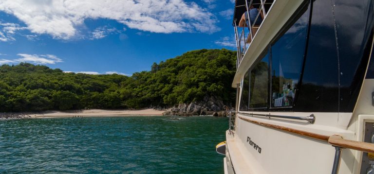 Excursión a la Playa: Palito Verde - Mike's Fishing & Tours