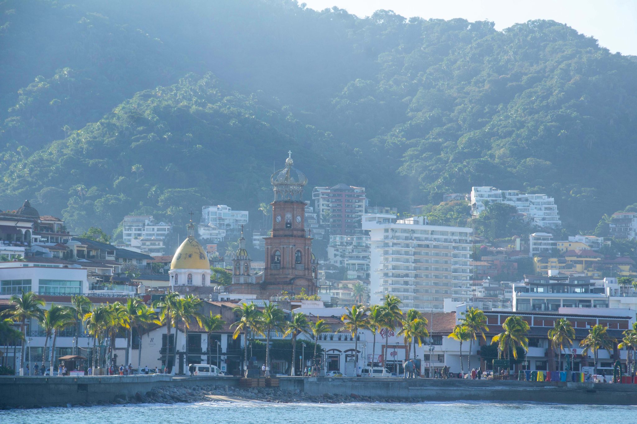 ¿Quién es Alex Dey? Y Su Recorrido En El Yate Florero - Mike's Fishing ...